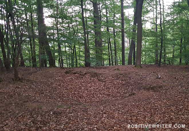 Photographic Evidence of the Paranormal in the Haunted Forest ...